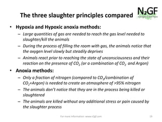 Anoxia presentation Australia | PPTX