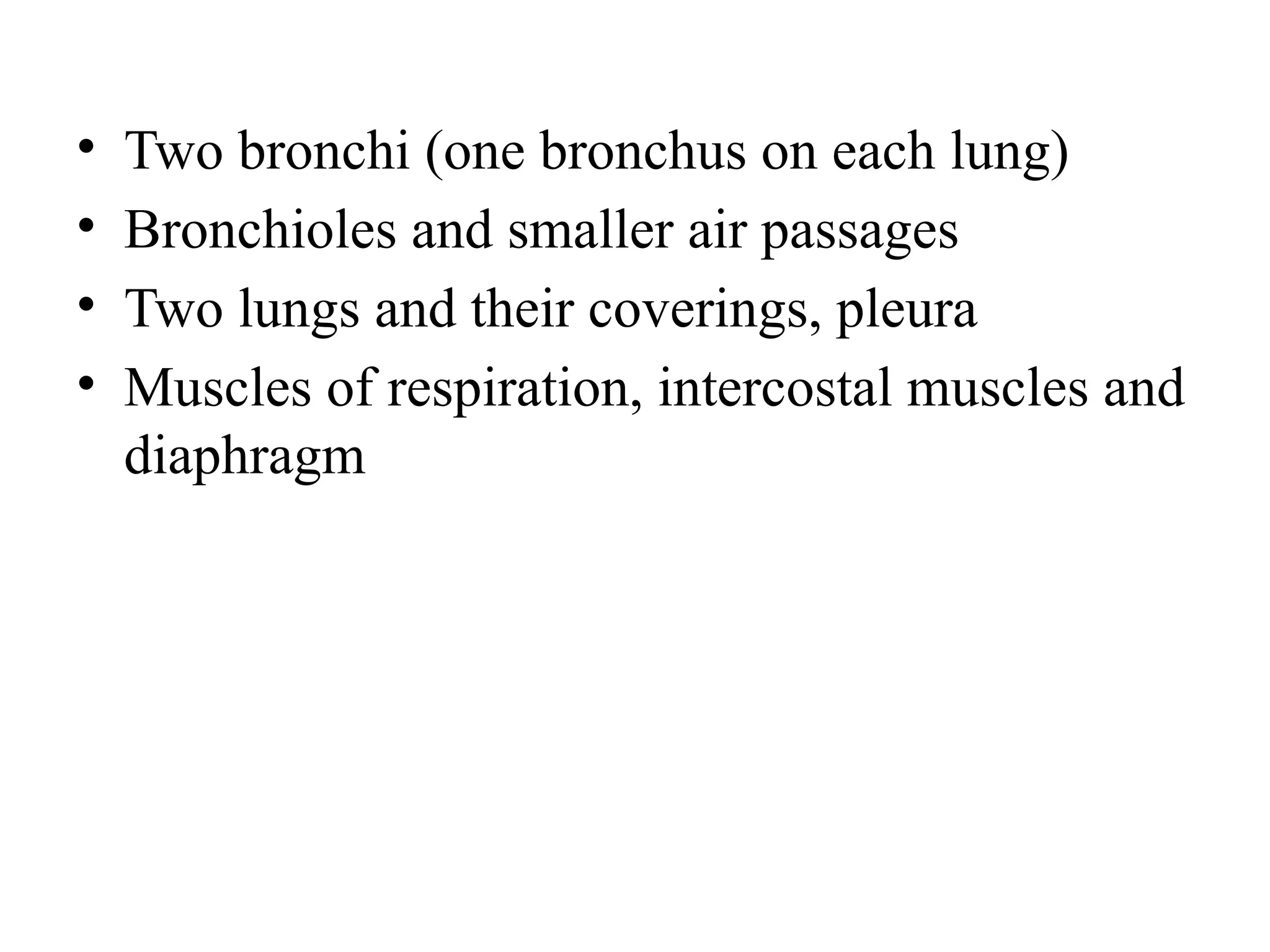 ANP - RESPIRATORY SYSTEM - LUNGS TRACHEA | PPTX