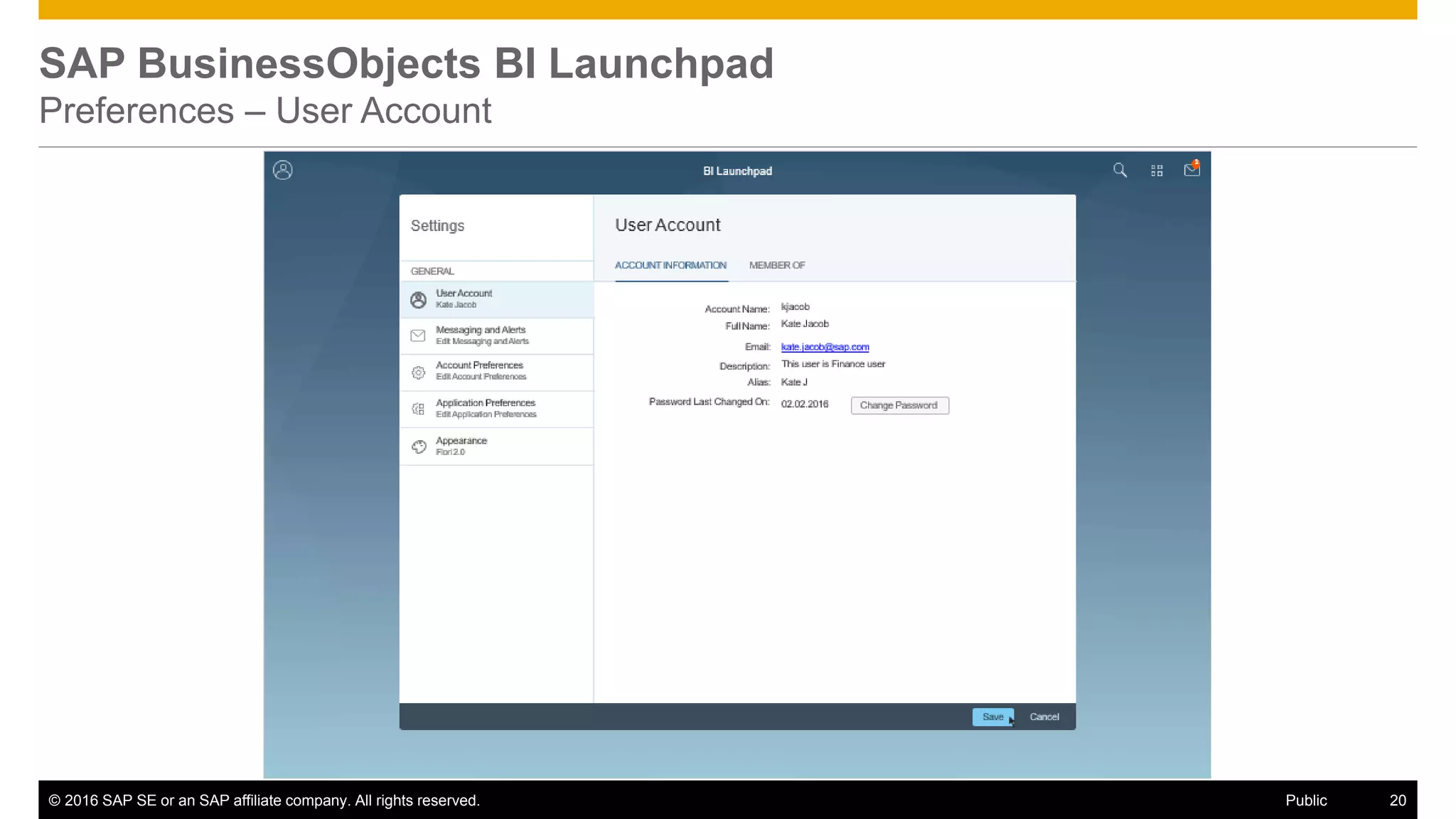SAP Fiori with SAP BusinessObjects BI Launchpad | PDF