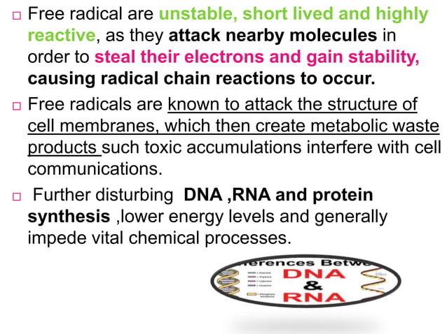 anp 2 geriatric consideratioPPT.pptx