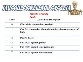 Nursing Assessment-History and Physical assessment - Musculoskelatal ...
