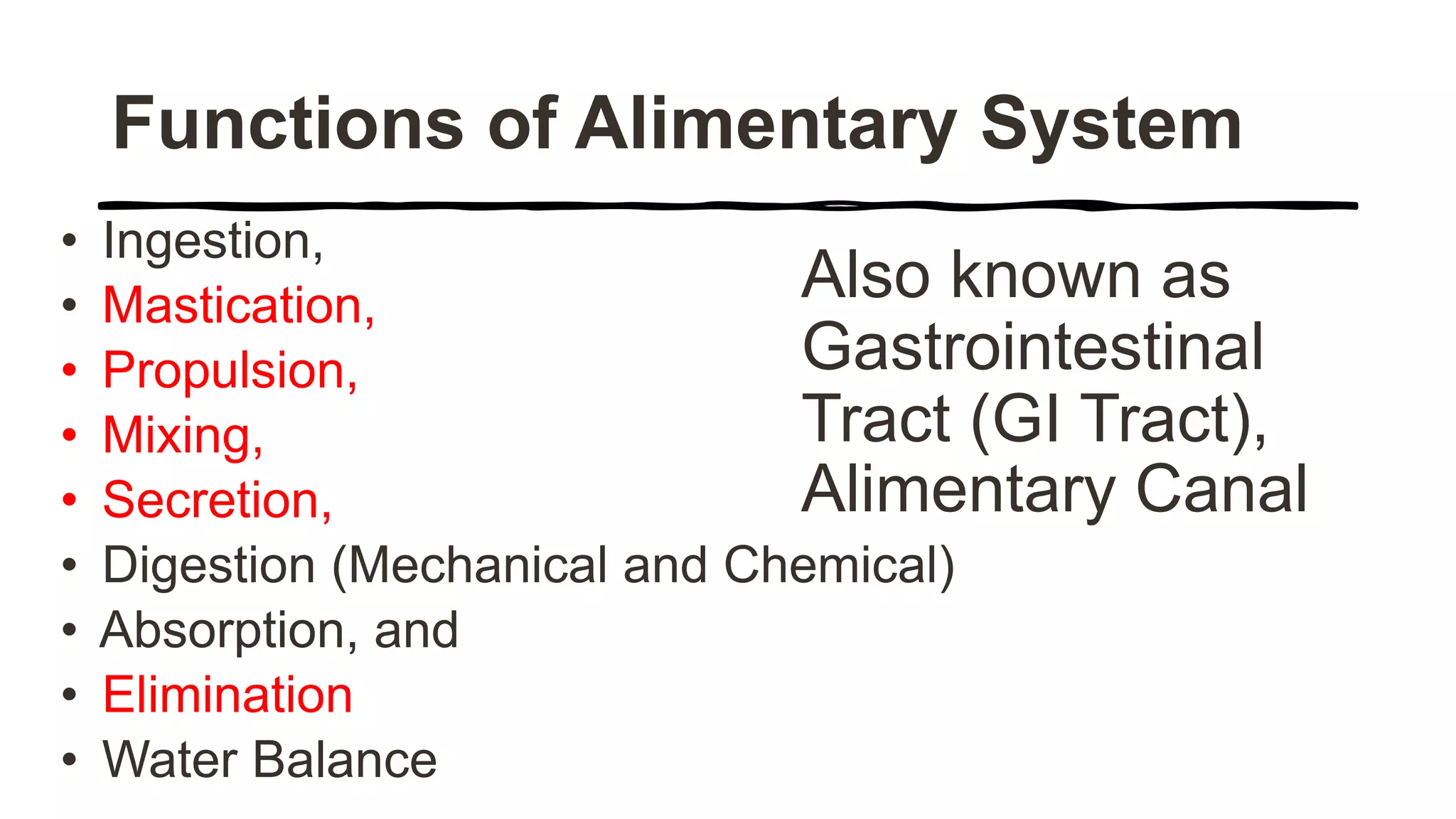 Digestive system - diploma 27 | PDF