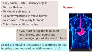 Digestive system - diploma 27 | PDF