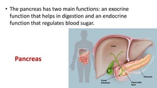 Digestive system - diploma 27 | PDF