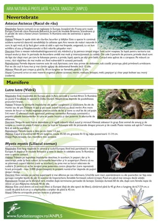 Anpls brosura prezentare=2008=aria naturala protejata lacul snagov | PDF