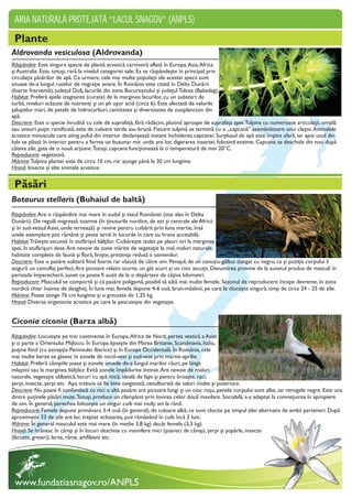 Anpls brosura prezentare=2008=aria naturala protejata lacul snagov | PDF