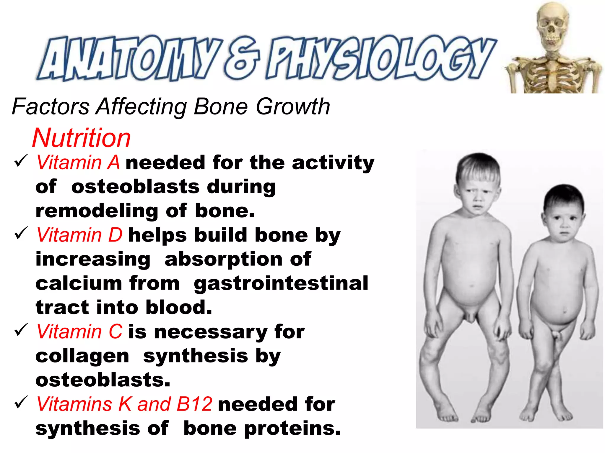 Review of Anatomy and Physiology of Musculoskeletal System / Nursing | PPTX