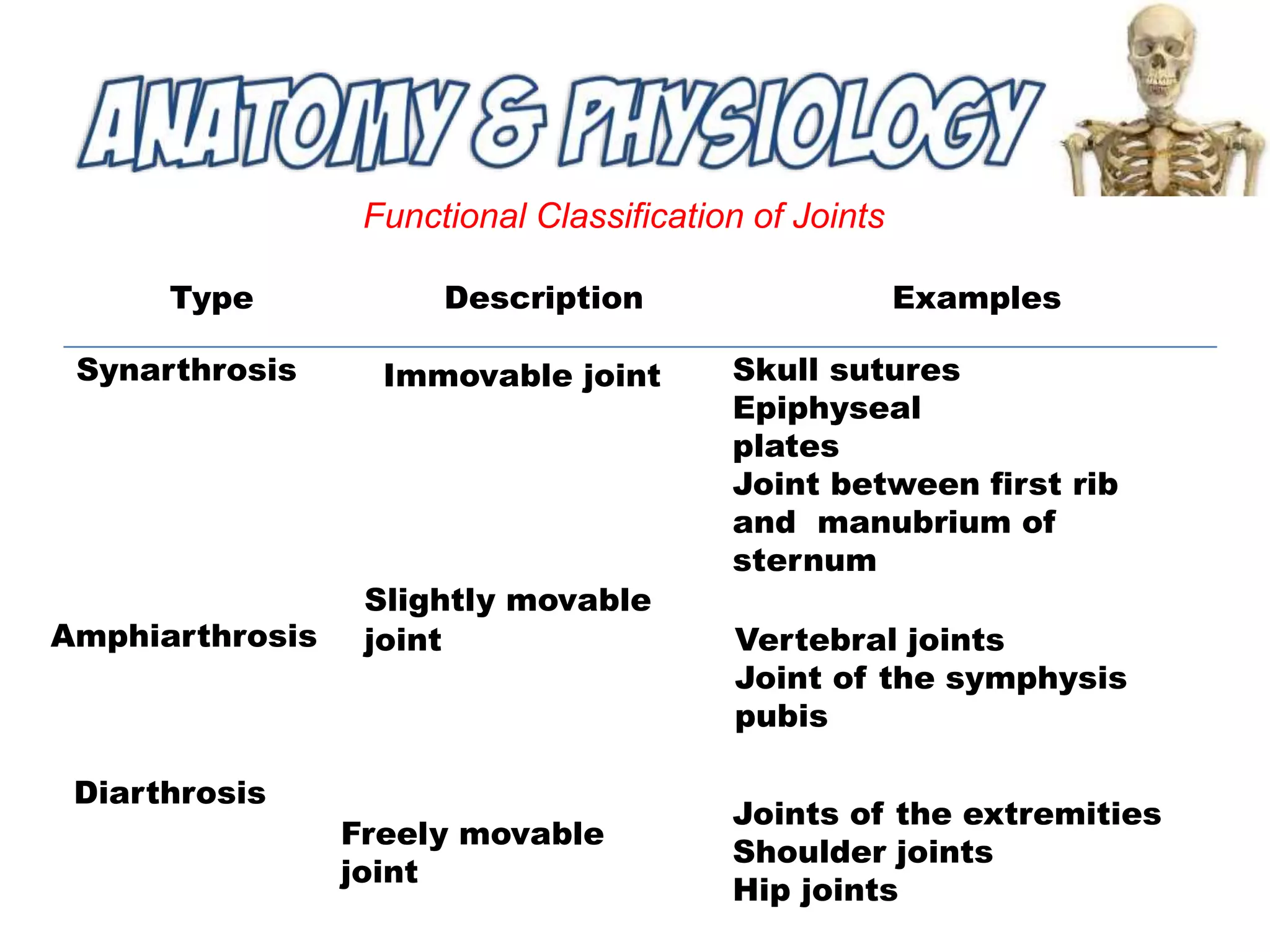 Review of Anatomy and Physiology of Musculoskeletal System / Nursing | PPTX