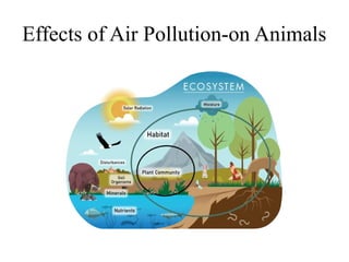 Air pollution and its effects on living things PPT.pptx