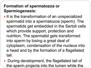 anp ppt CONCEPTION AND FETAL DEVELOPMENT (1).pptx