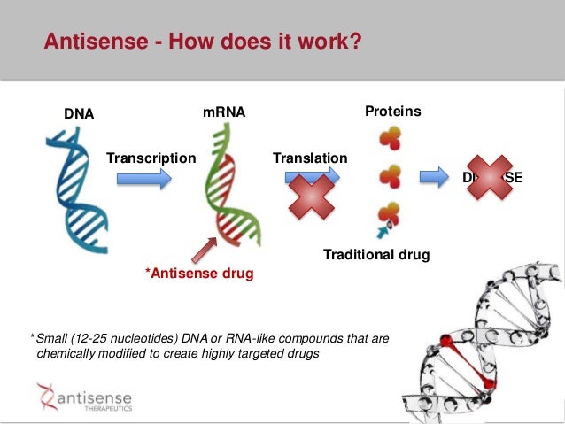 Antisense Therapeutics (ASX: ANP) Investor Roadshow Presentation Sept…