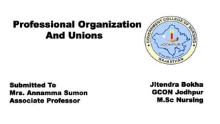 ANP Professinal organization and Union by - Jitendra Bokha .docx.pptx