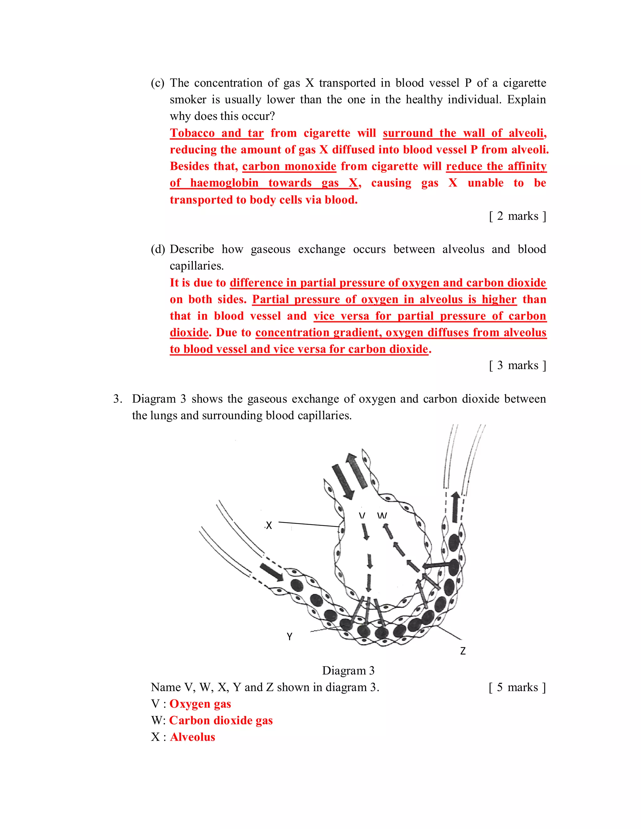 Answer For Gaseous Exchange Exercise | PDF
