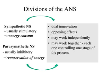 Central Nervous System, The Autonomic Nervous System | PPT