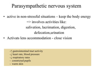 Central Nervous System, The Autonomic Nervous System | PPT