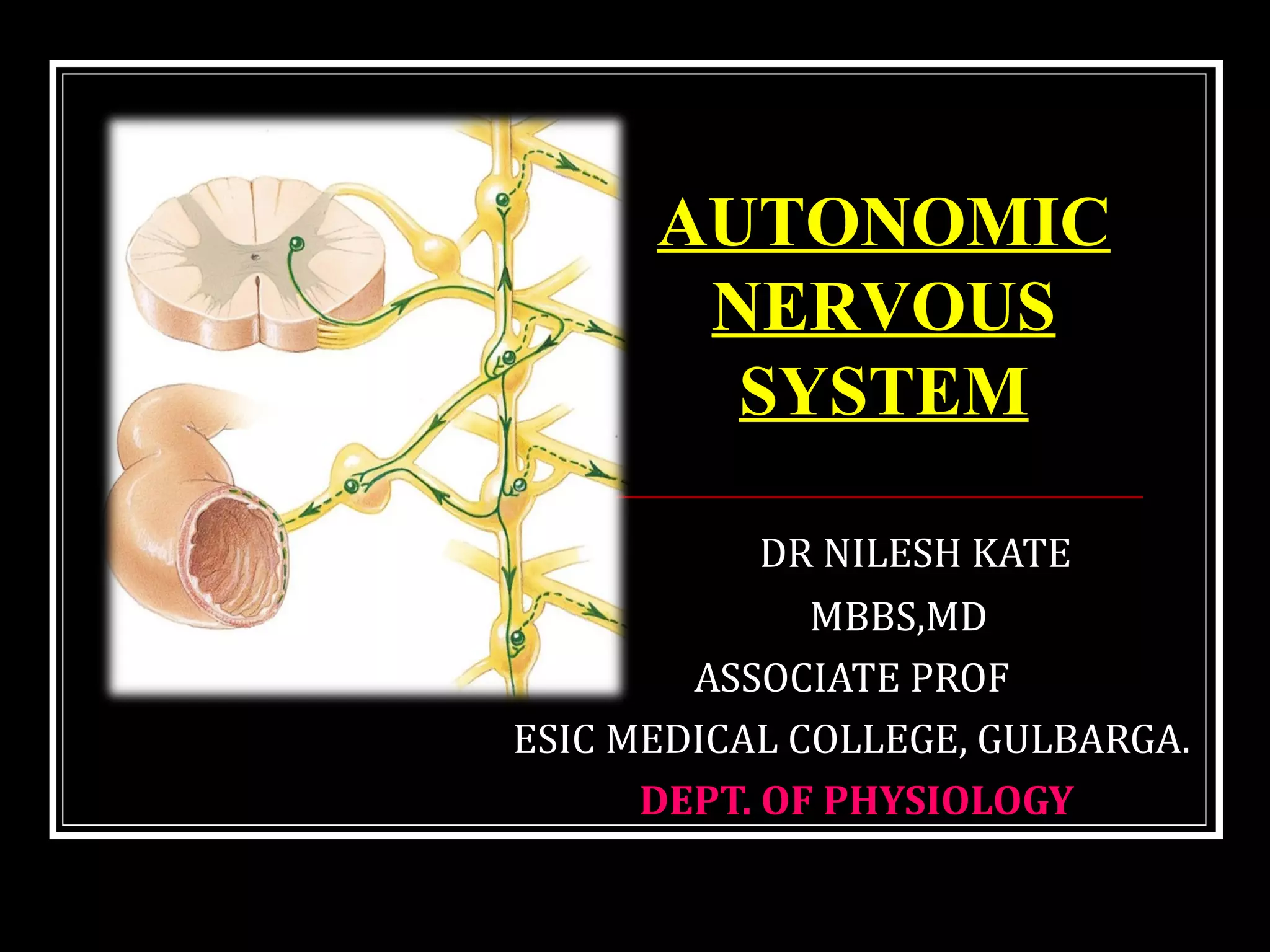 AUTONOMIC NERVOUS SYSTEM | PPT