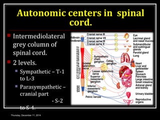 AUTONOMIC NERVOUS SYSTEM | PPT