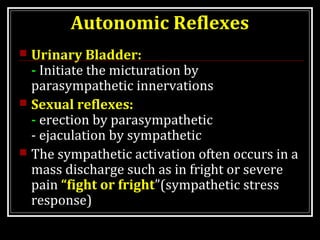 AUTONOMIC NERVOUS SYSTEM | PPT