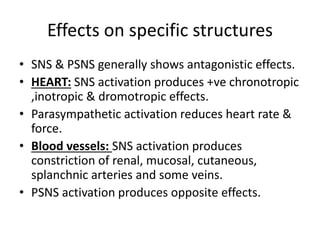 AUTONOMIC NERVOUS SYSTEM | PPTX