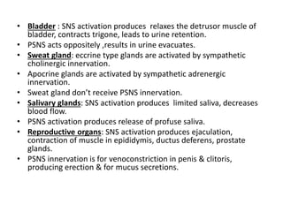 AUTONOMIC NERVOUS SYSTEM | PPT