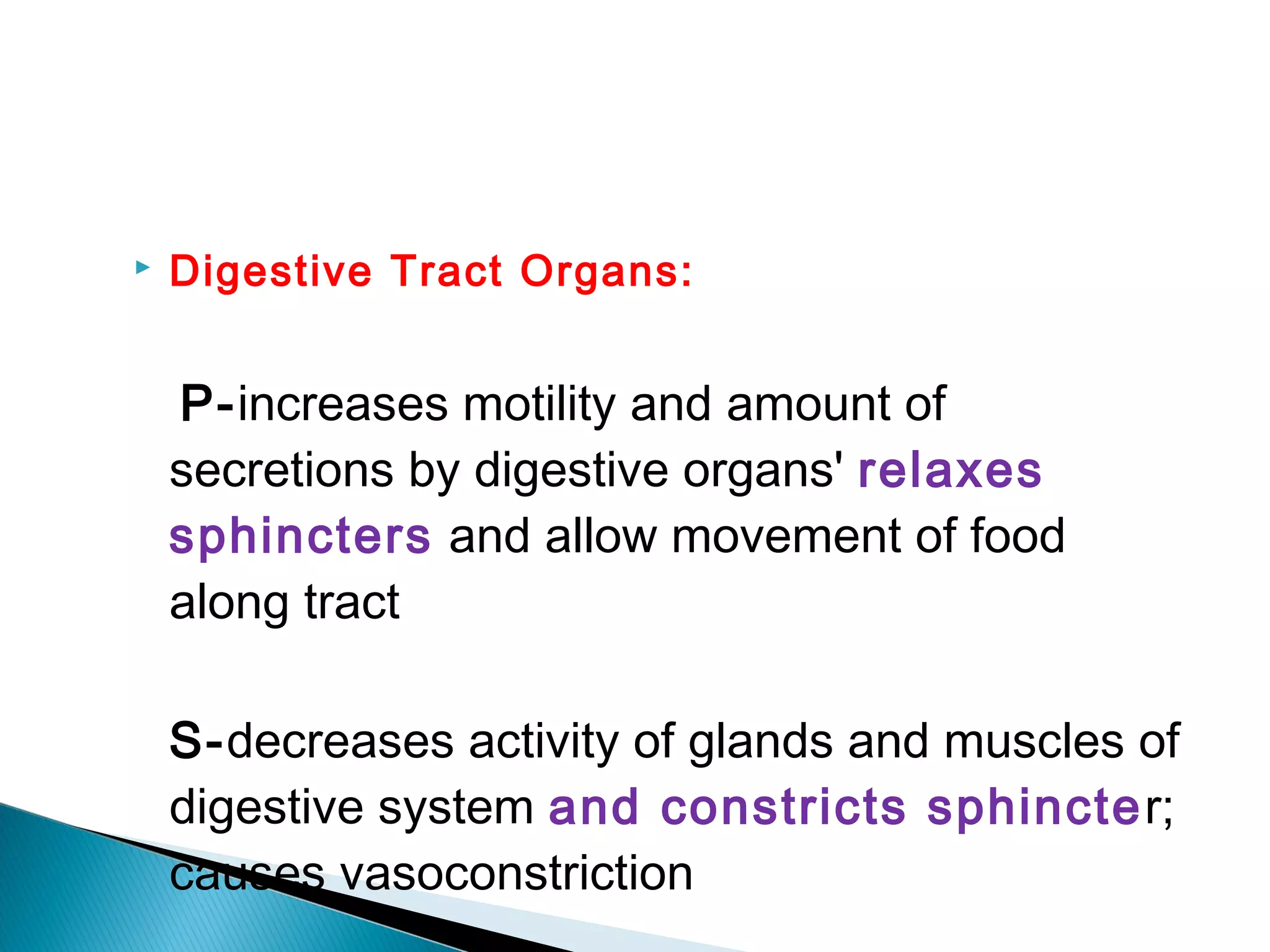 Autonomic Nervous System | PPT