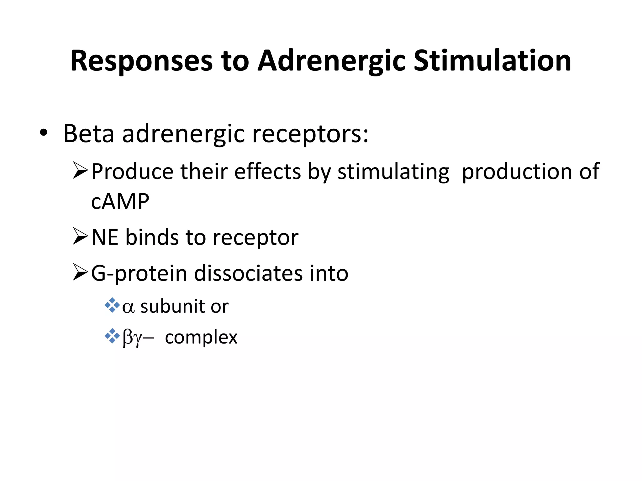 Autonomic nervous system anatomya and its testing | PPTX
