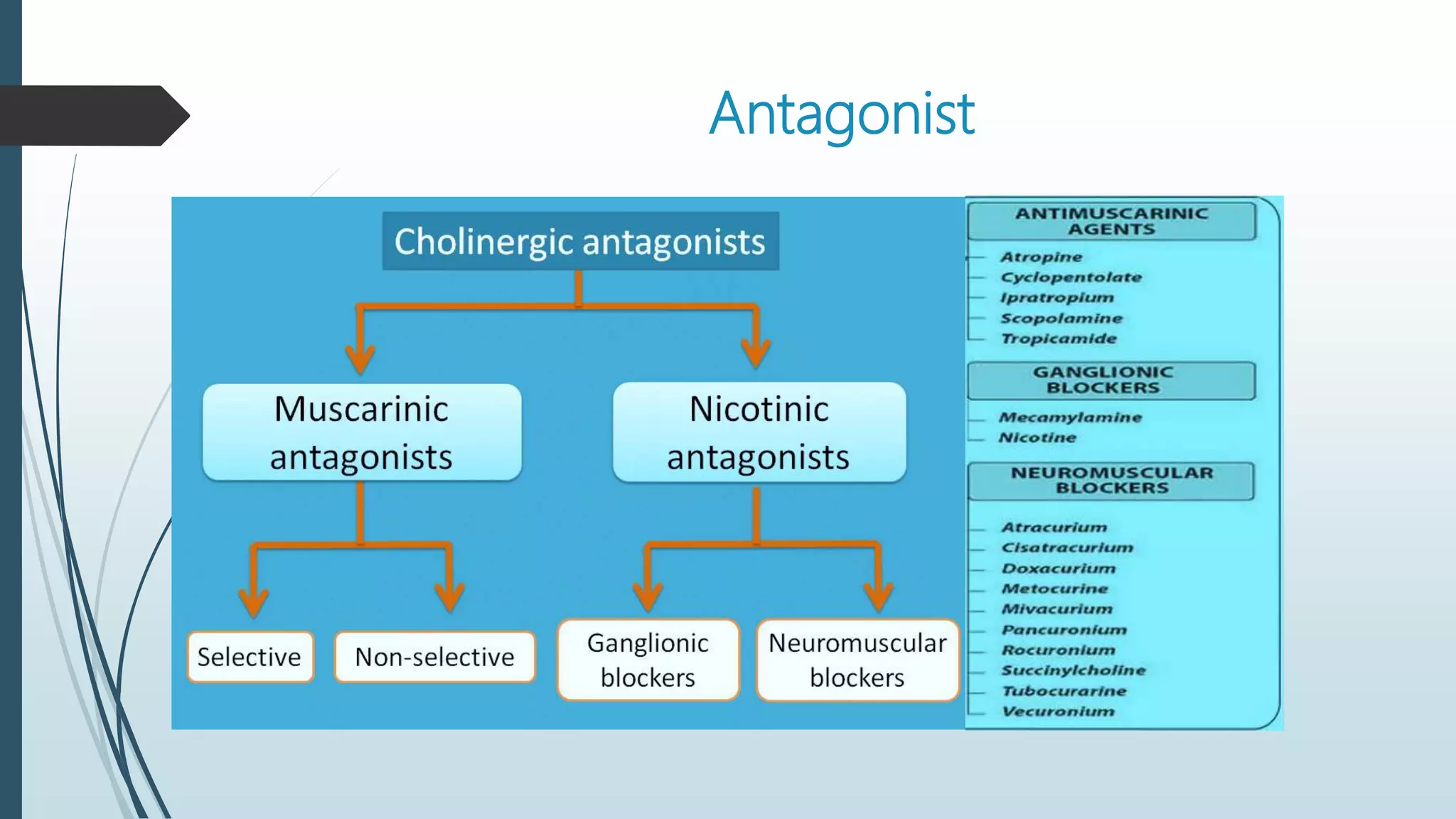 Autonomic nervous system with cholinergic & Adrenergic drugs | PPTX