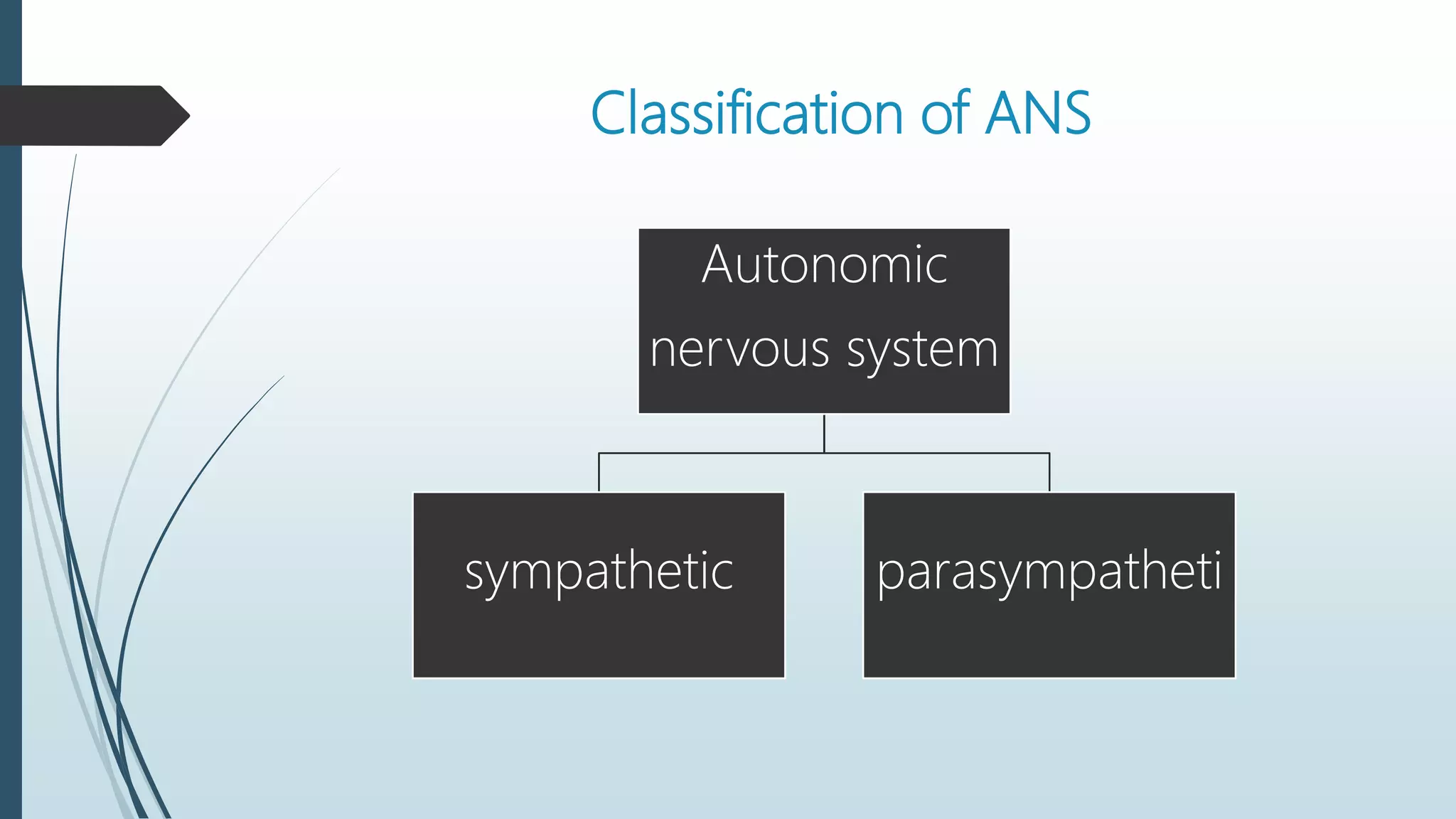 Autonomic nervous system with cholinergic & Adrenergic drugs | PPTX