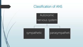 Autonomic nervous system with cholinergic & Adrenergic drugs | PPT