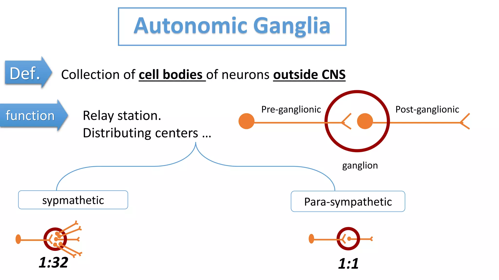 Autonomic nervous system (ANS-2) | PPTX