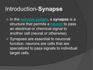 Autonomic Nervous system | PPTX