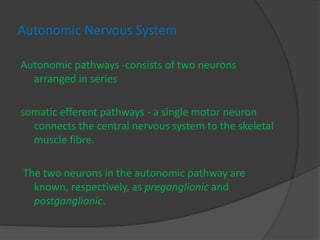 Autonomic Nervous system | PPTX