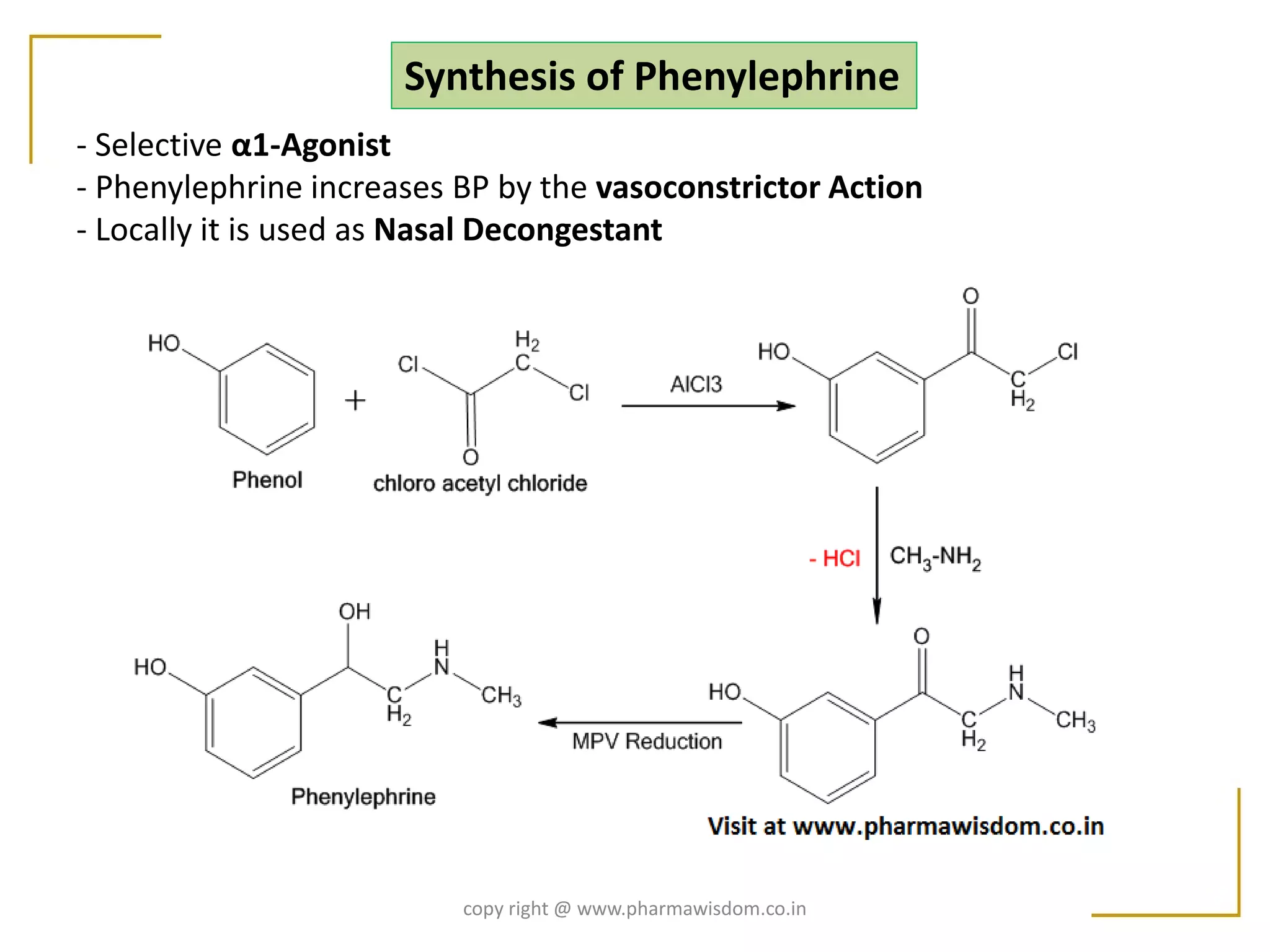 Drugs acting on Autonomic Nervous System / Sympathomimetic drugs ...