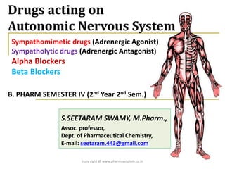 Autonomic Nervous System