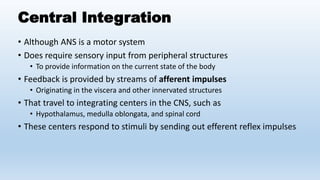 Functional Organization of Autonomic Activity | PPT