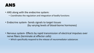 Functional Organization of Autonomic Activity | PPT