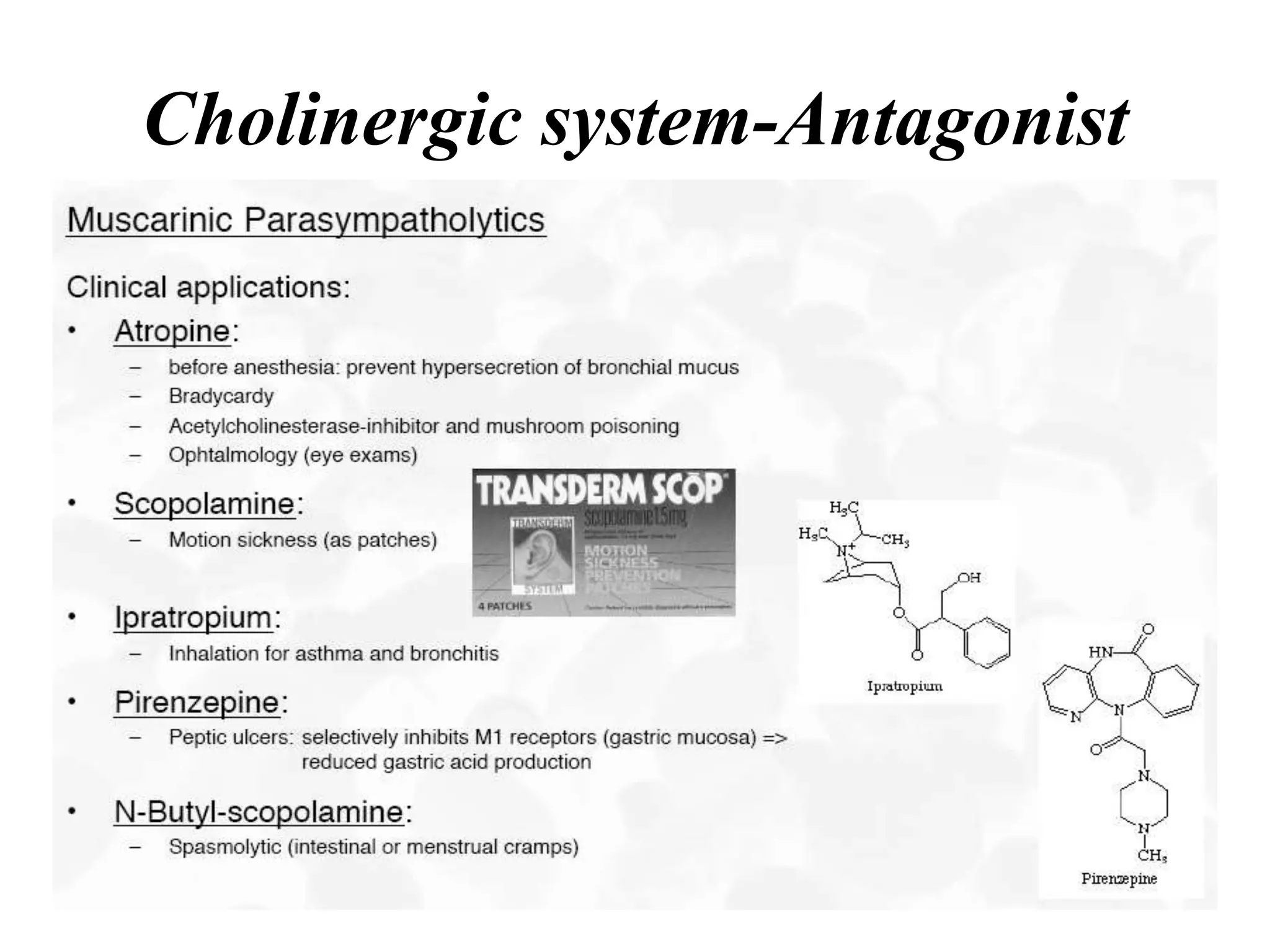 Cholinergic systems | PPT