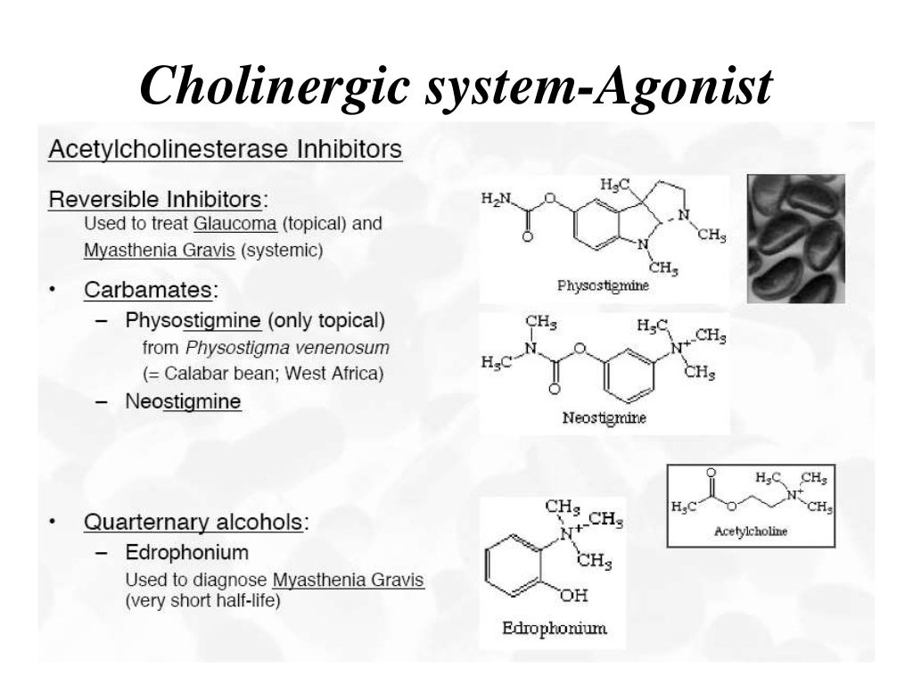 Cholinergic systems