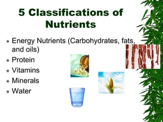 Ans. 1_7.01_Anijjkjjjjjyhyhgkhjkhhjkhgkjgmal Feeds2.pptx