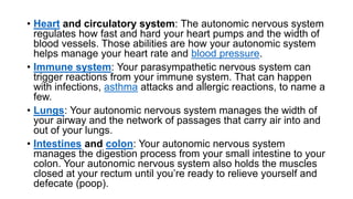 Autonomic nervous system and its components | PPTX