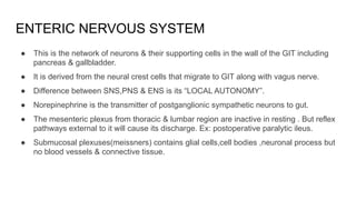 Autonomic nervous system (ANS) power point presentation | PPTX