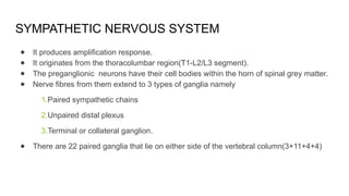 Autonomic nervous system (ANS) power point presentation | PPTX
