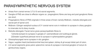 Autonomic nervous system (ANS) power point presentation | PPTX