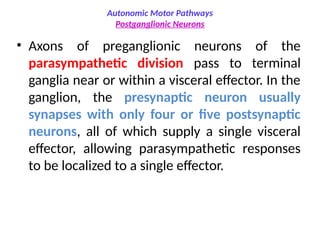 AUTONOMIC NERVOUS SYSTEM CLINICAL S.pptx