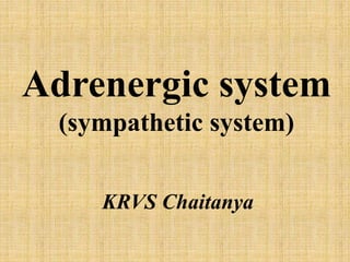 Adrenergic system | PPT