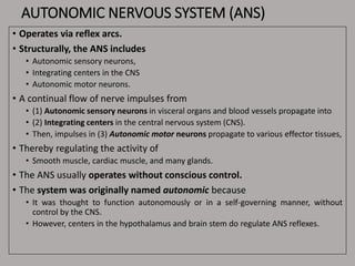 Autonomic nervous system | PPT