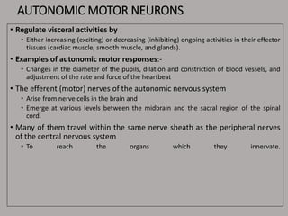 Autonomic nervous system | PPT