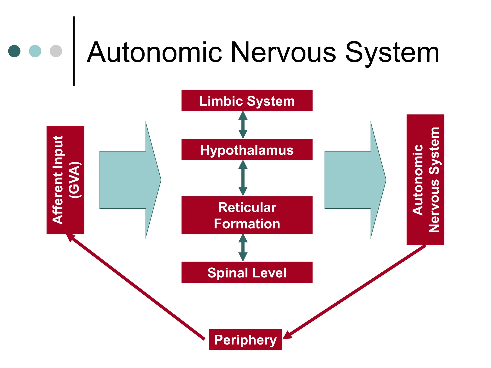 Autonomic nervous_systems and its explanation | PPT