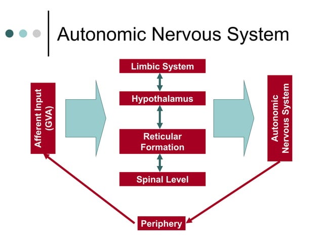 Autonomic nervous_systems and its explanation | PPT