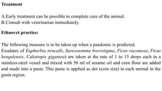 ANS 301, ANIMAL DISEASES, PARASITES AND THEIR MANAGEMENT.pptx